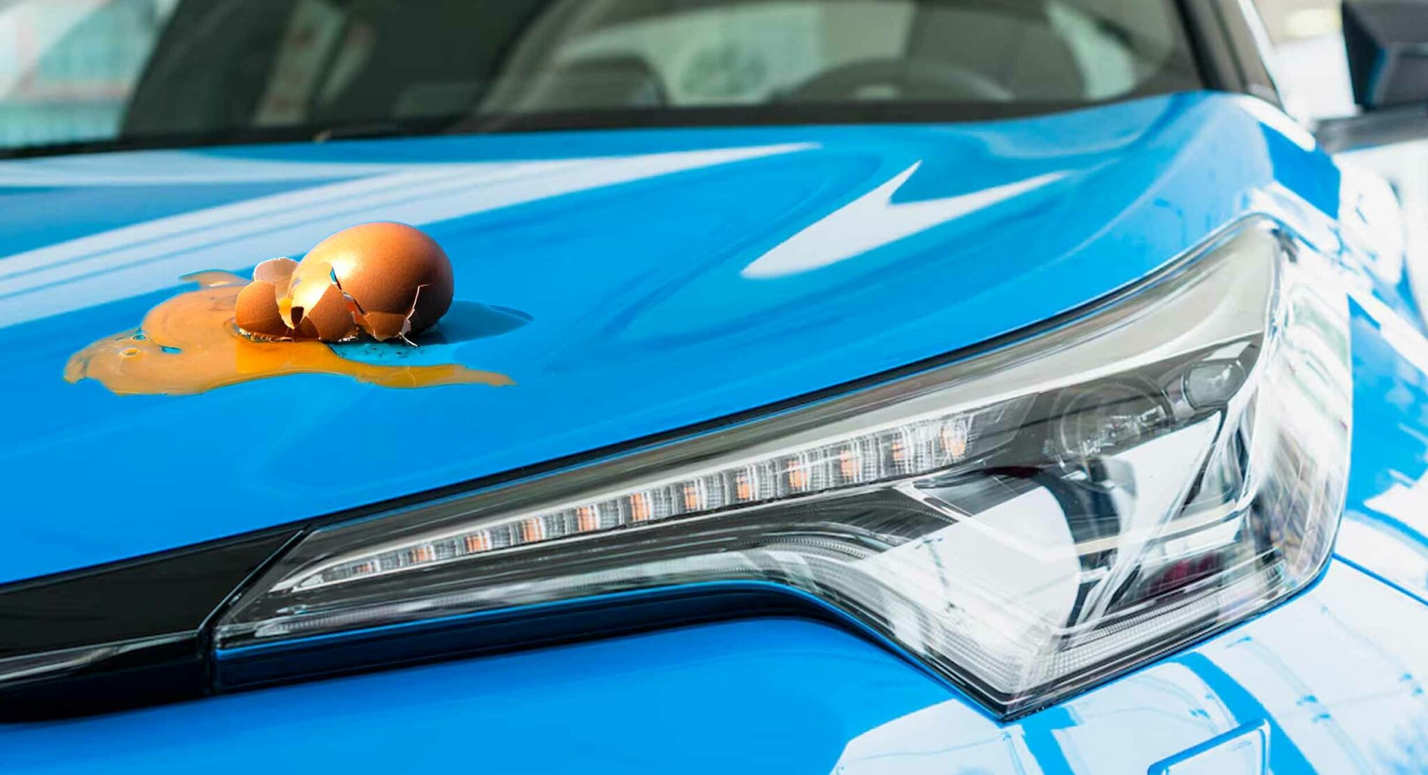 Someone Egged My Car! Now What? – motor snitch